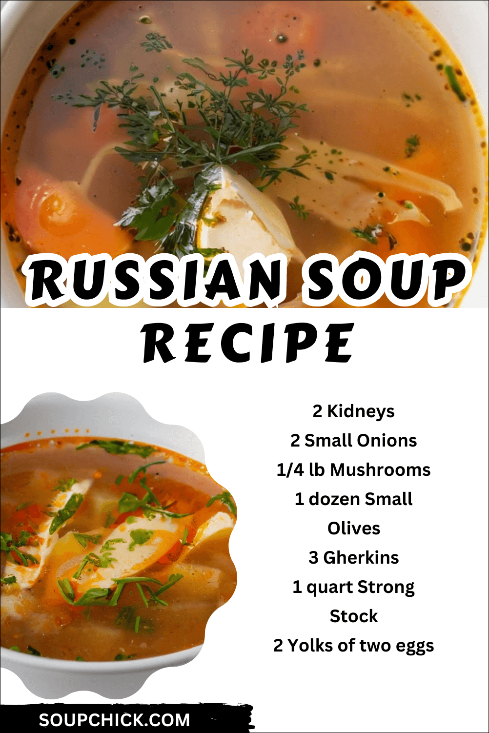 Russian Soup Recipe - A Spoonful Filled With Love - Soup Chick