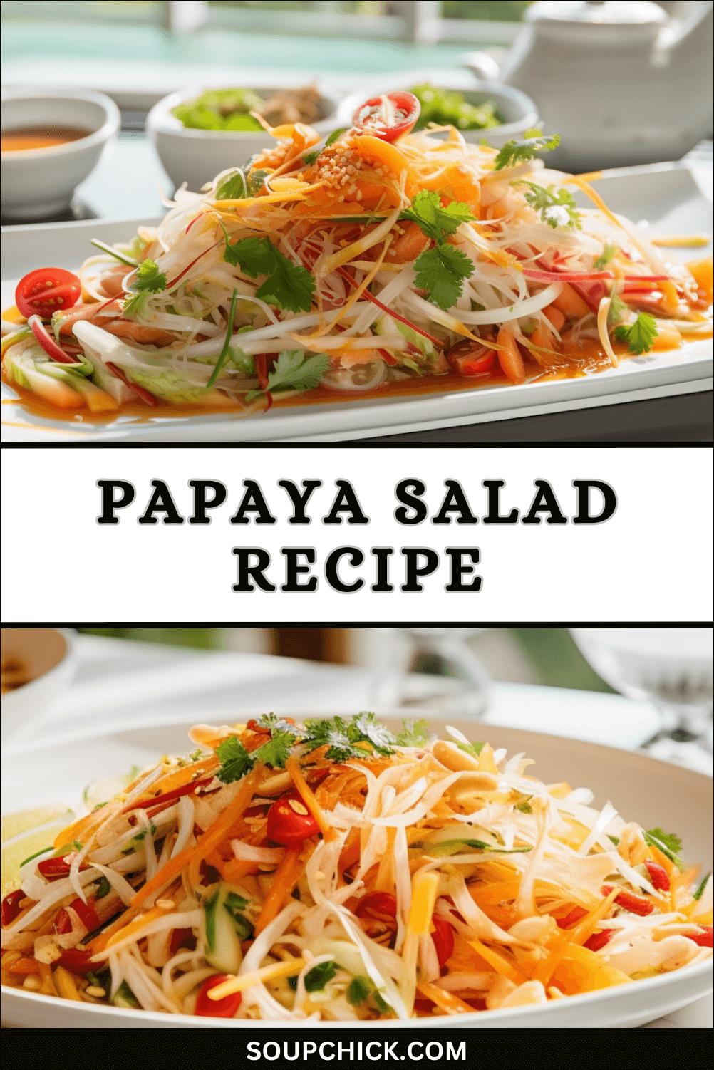 Papaya Salad Recipe (Sweet And Sour Flavors) - Soup Chick