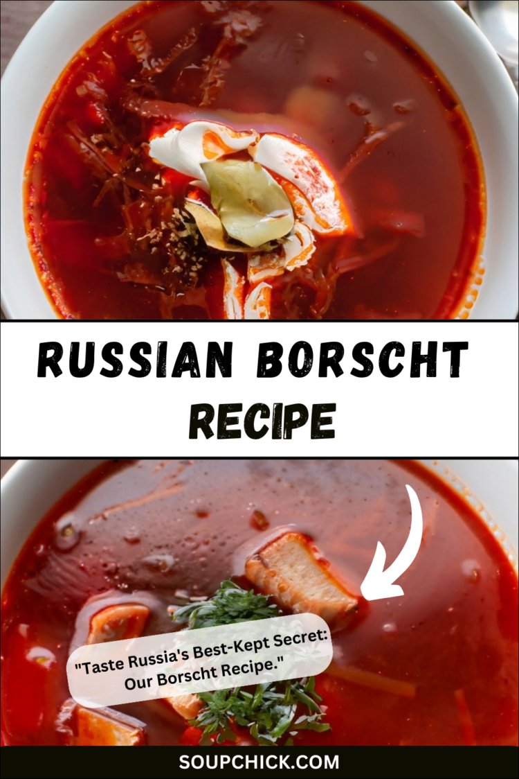 Russian Borscht Soup Recipe (Rich, Tangy Flavor) – Soup Chick