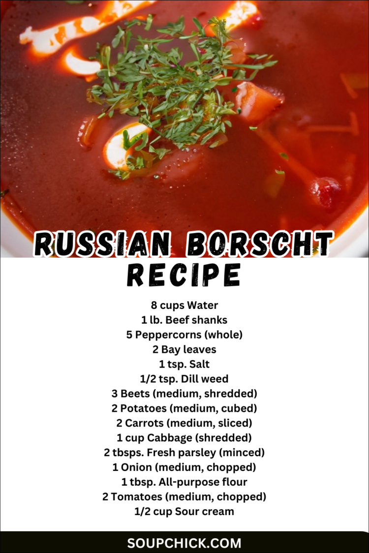 Russian Borscht Soup Recipe (Rich, Tangy Flavor) – Soup Chick