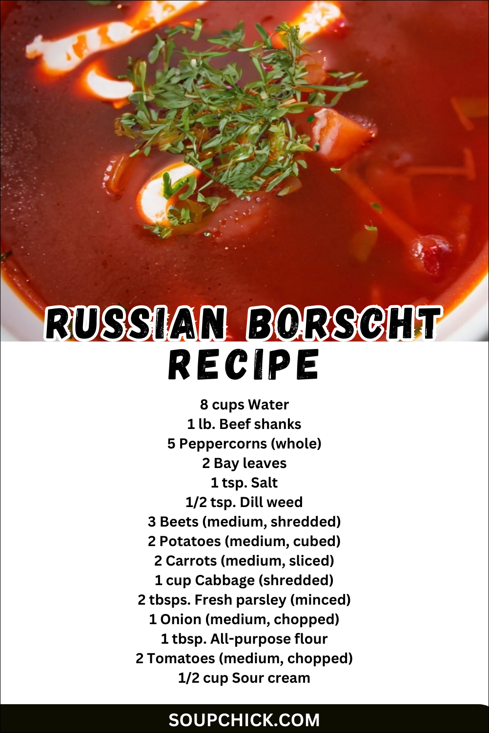 Russian Borscht Soup Recipe (Rich, Tangy Flavor) – Soup Chick