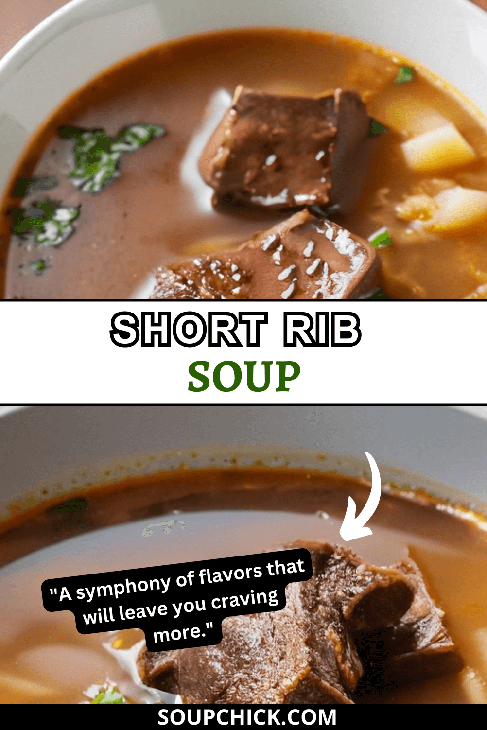 Short Rib Soup – A Must-Try Food For Lovers – Soup Chick