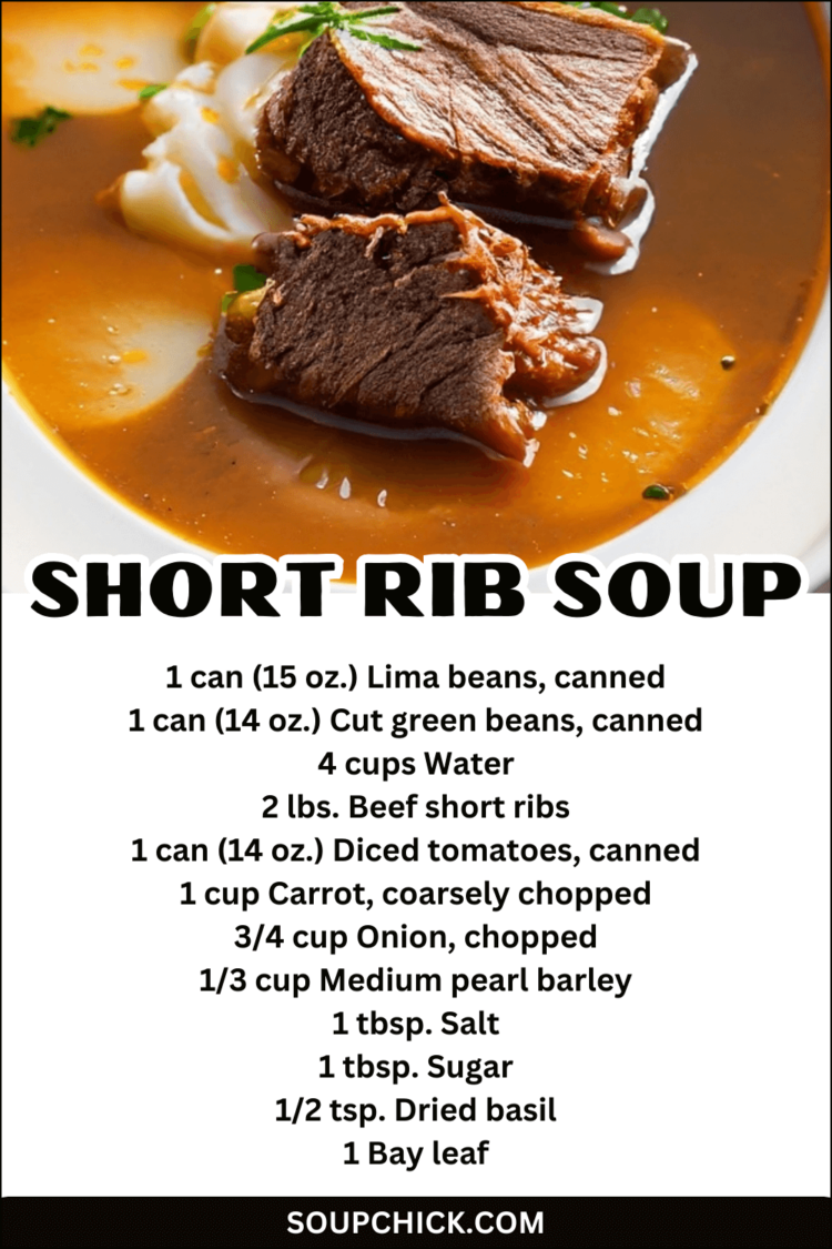 Short Rib Soup – A Must-Try Food For Lovers – Soup Chick