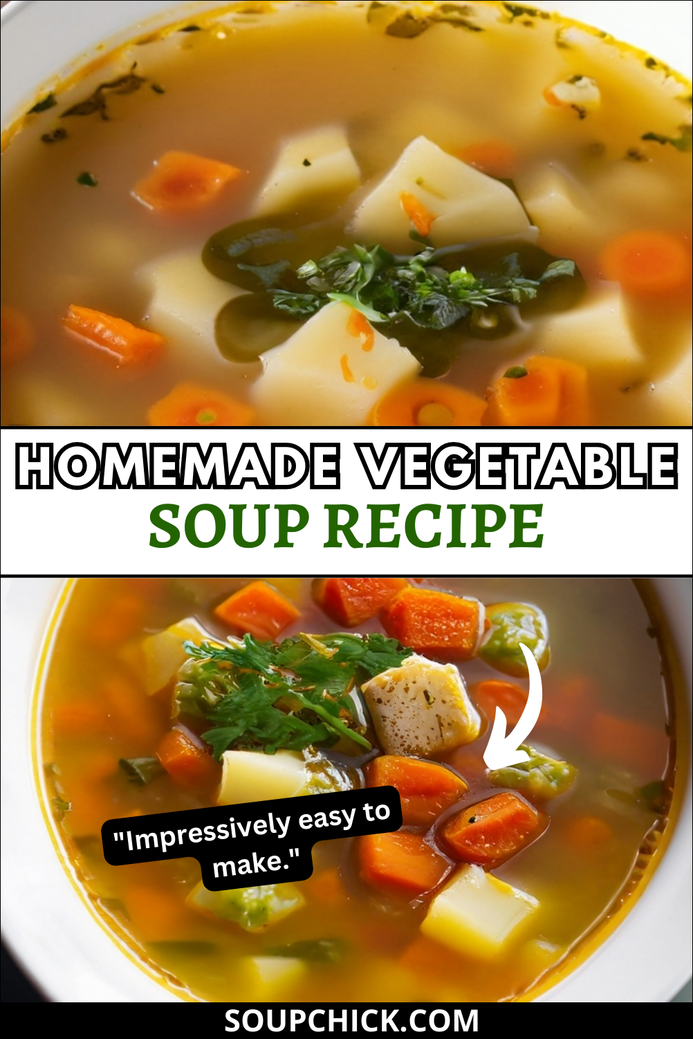 Homemade Vegetable Soup Recipe - A Delightful Nutritious Food - Soup Chick