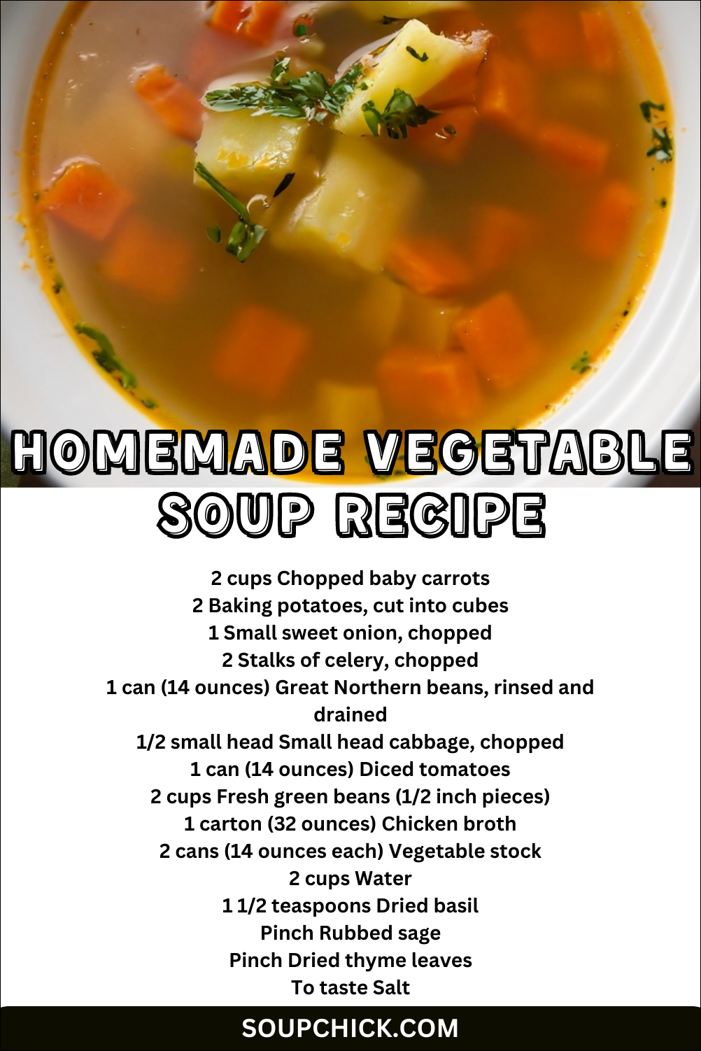 Homemade Vegetable Soup Recipe – A Delightful Nutritious Food – Soup Chick