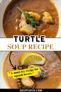 Delicious Turtle Soup Recipe To Cater Personal Taste – Soup Chick