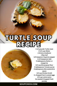 Delicious Turtle Soup Recipe To Cater Personal Taste – Soup Chick
