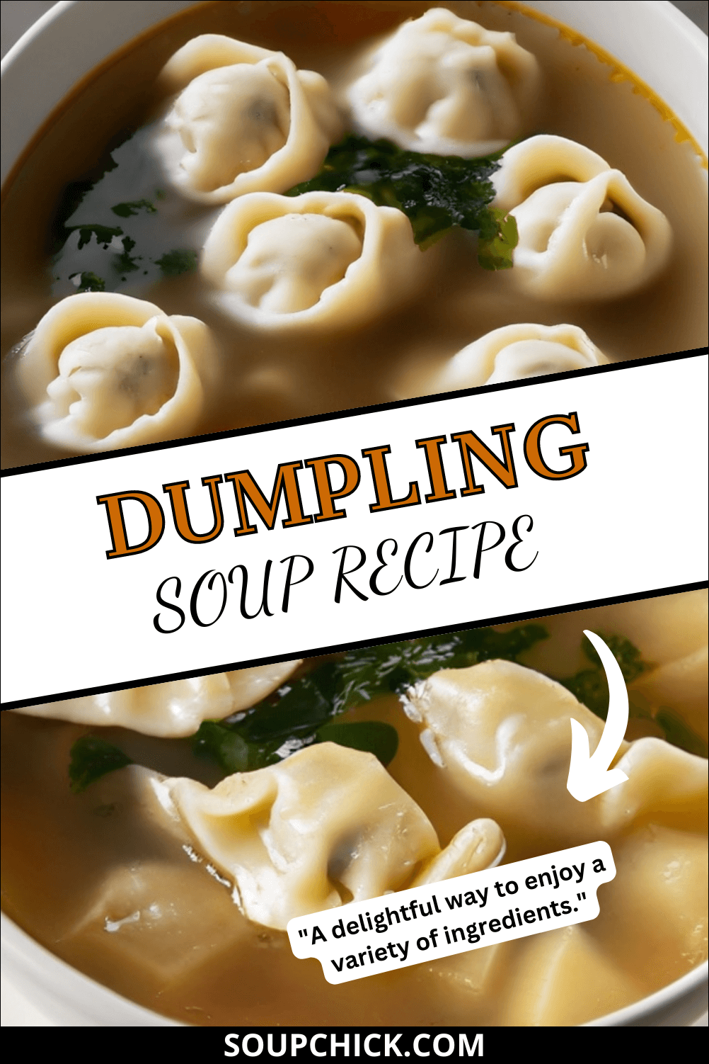 Delicious Dumpling Soup Recipe: Warm Comfort in Every Spoonful