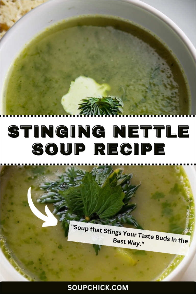 25- Minutes Stinging Nettle Soup -A Simple and Tasty Recipe For All ...