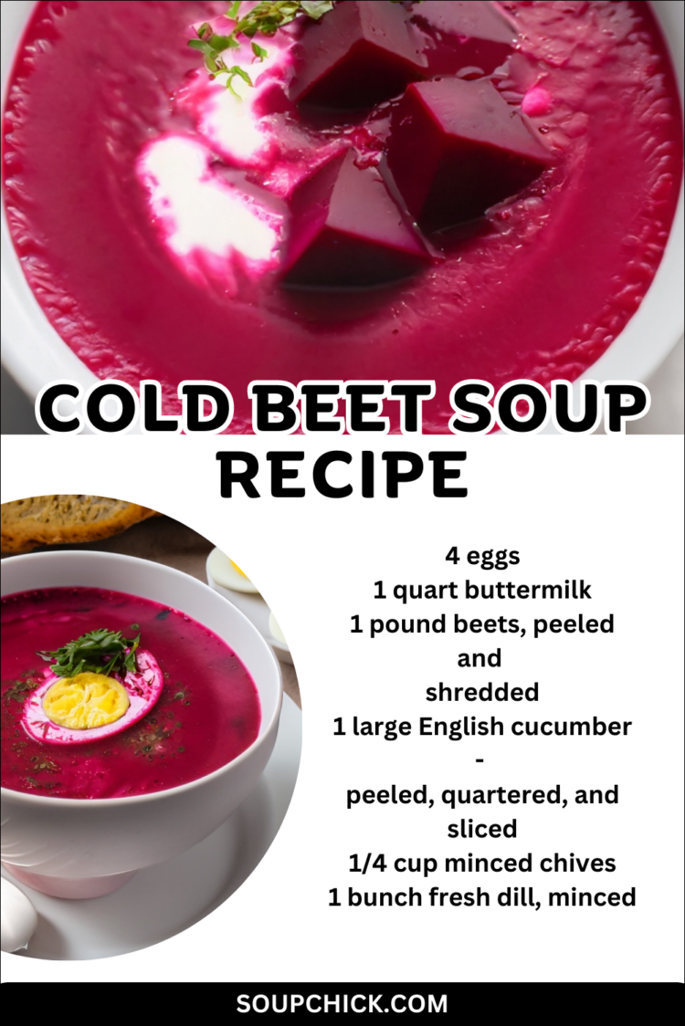 Cold Beet Soup Recipe – A Perfect Dish For Summers – Soup Chick