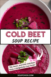 Cold Beet Soup Recipe – A Perfect Dish For Summers – Soup Chick