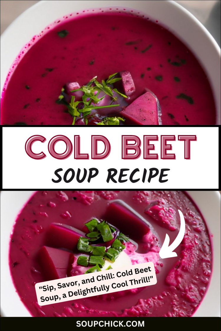 Cold Beet Soup Recipe – A Perfect Dish For Summers – Soup Chick
