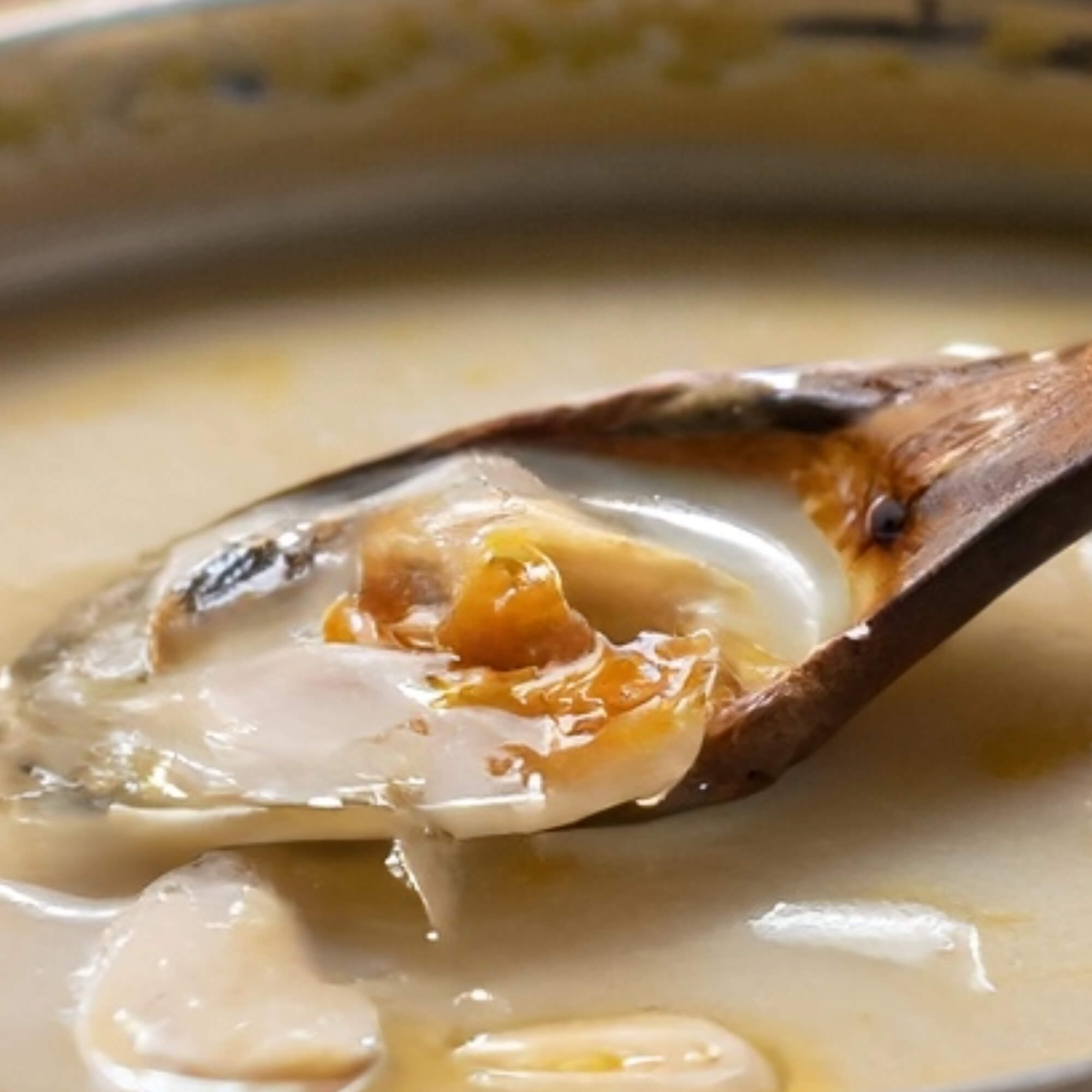 Comforting Oyster Soup Recipe (A Gourmet Classic, Easy To Make) – Soup ...