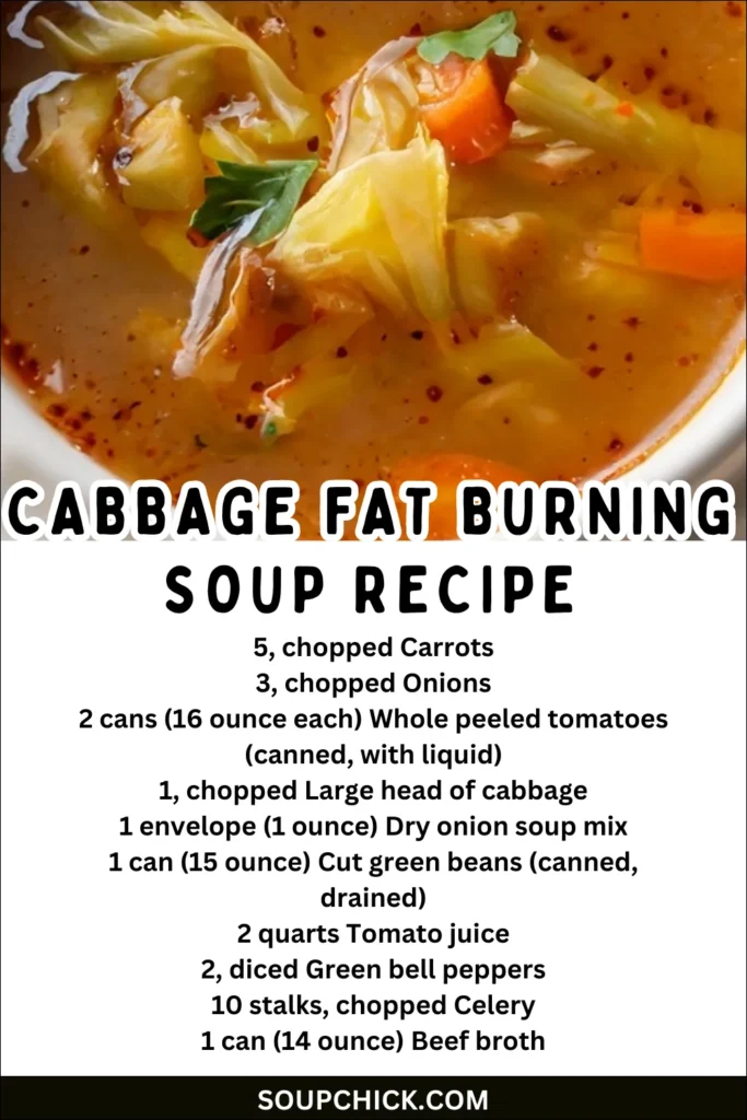 Cabbage Fat Burning Soup Recipe Diet Friendly